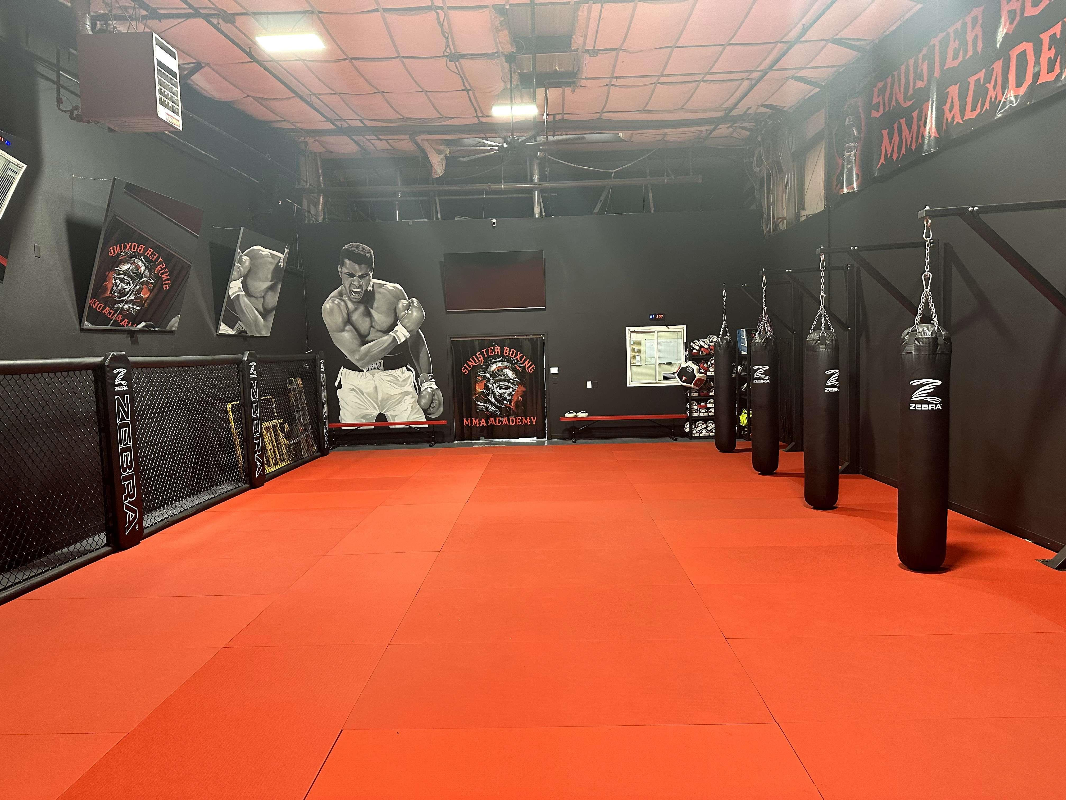 Sinister Mma Logo